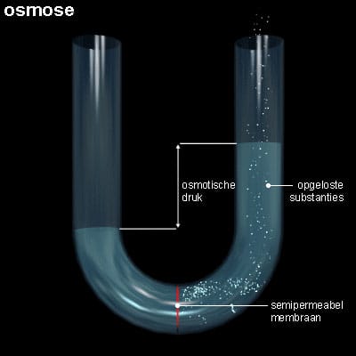 afbeeldingen van het menselijk lichaam