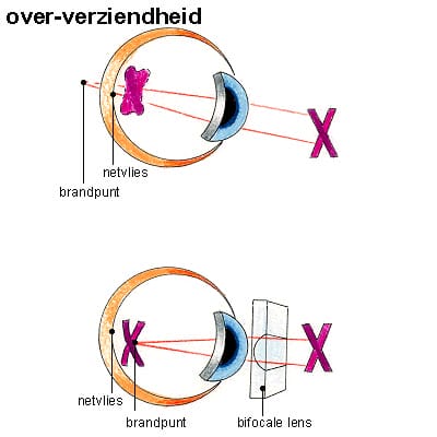 afbeeldingen van het menselijk lichaam
