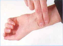 Polsslag | Algemeen | Menselijk Lichaam