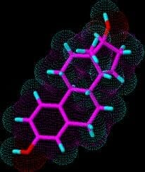 Oestrogeen | Algemeen | Menselijk Lichaam